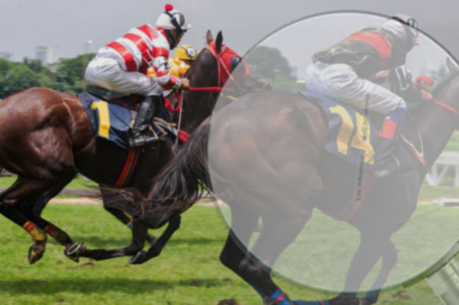 Ontario Horse Racing Field Bags CA$115M in Annual Allocations from OLG ...